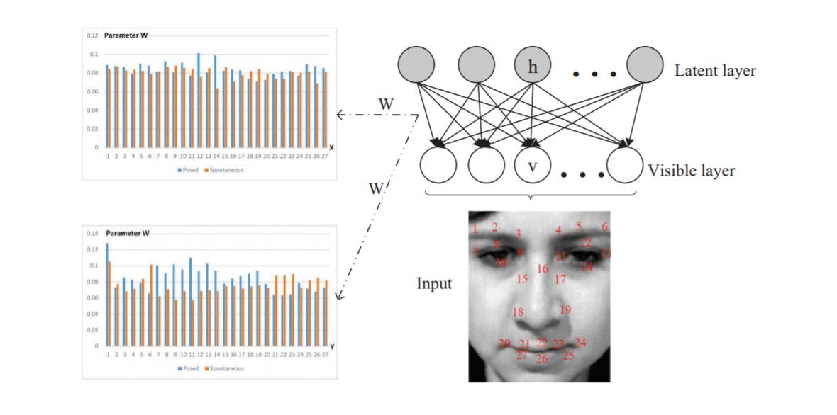 Differentiating Between Posed and Spontaneous Expressions with Latent Regression Bayesian ...