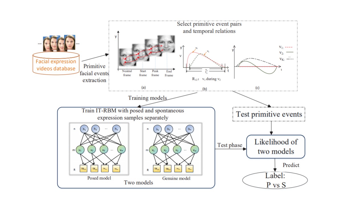 Capturing Spatial and Temporal Patterns for Distinguishing between Posed and Spontaneous ...